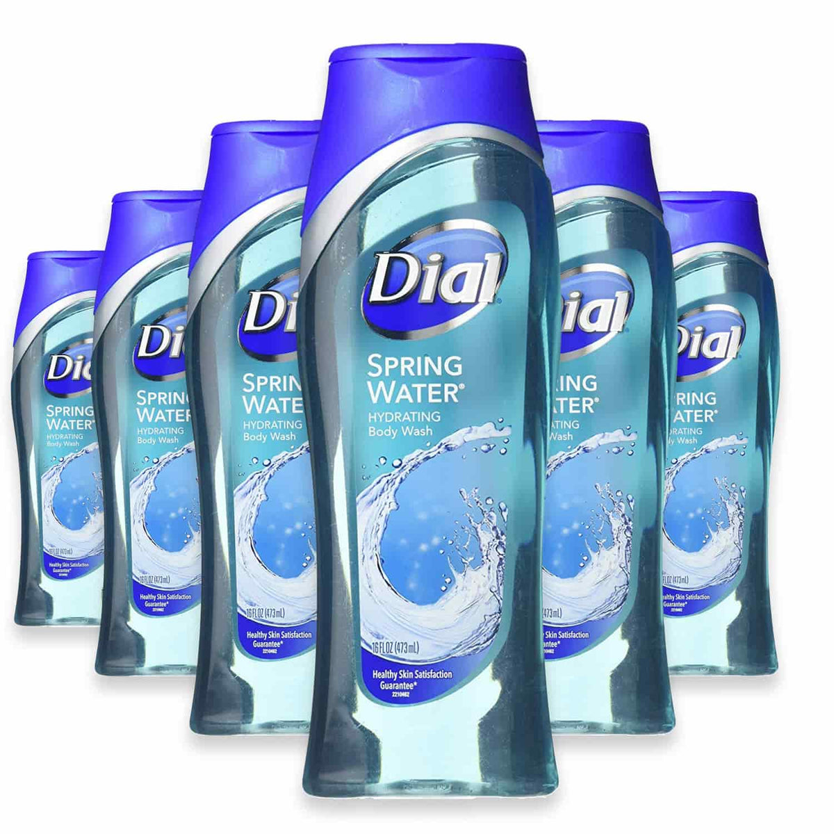 Dial Spring Water Body Wash 16 oz 6 Pack – Contarmarket